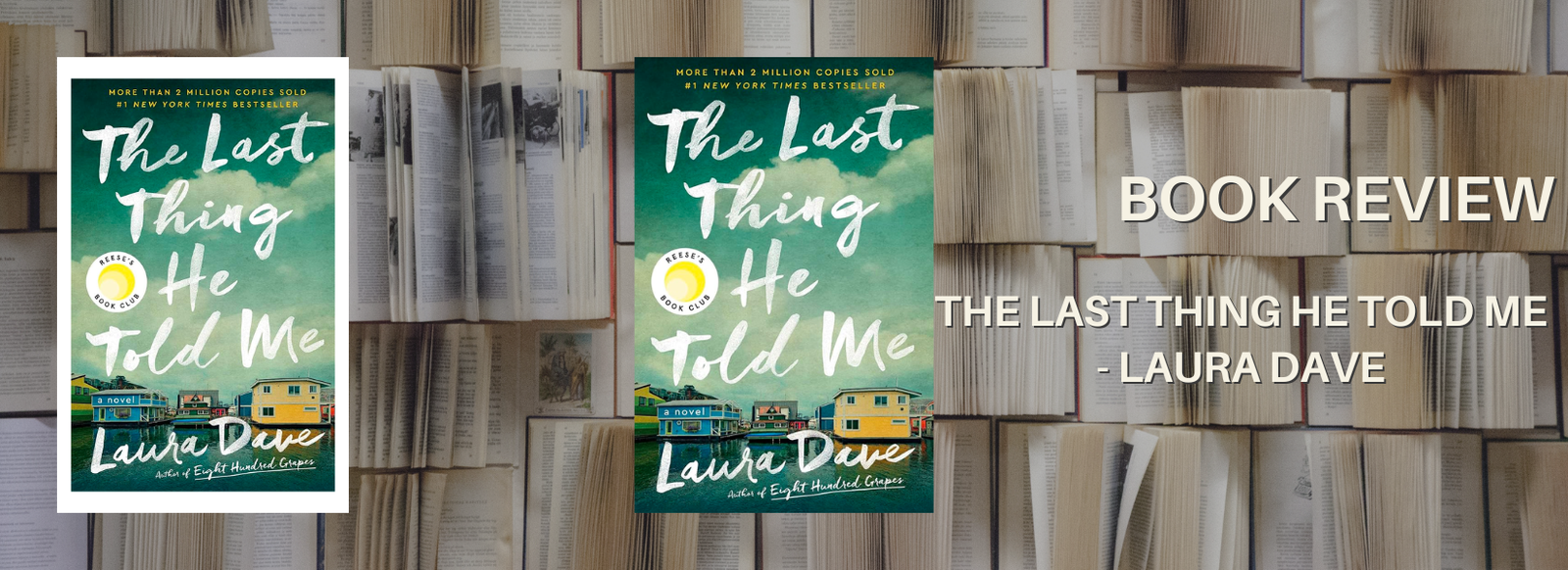 Book Review: The Last Thing He Told Me - Laura Dave - The Literary Vault