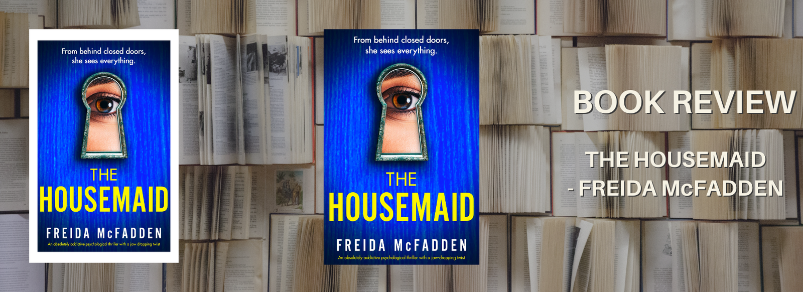 BOOK REVIEW: THE HOUSEMAID – FREIDA McFADDEN - The Literary Vault