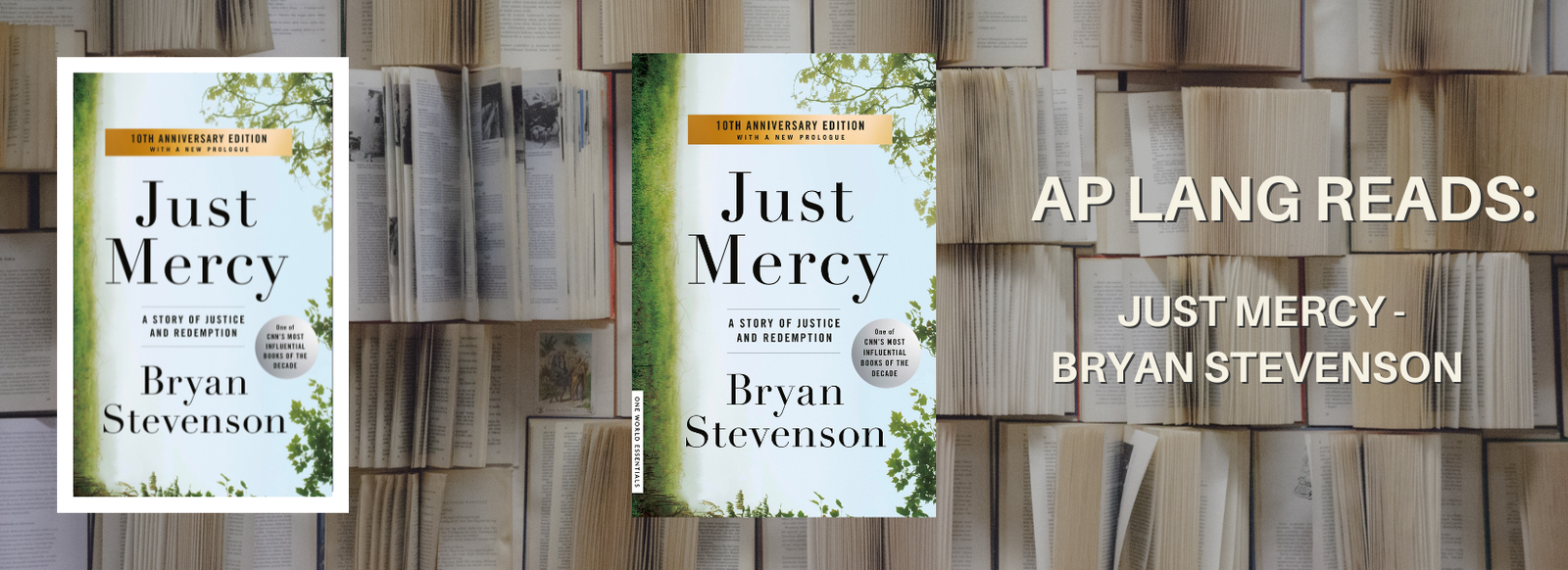 AP Lang Reads: Just Mercy - Bryan Stevenson - The Literary Vault